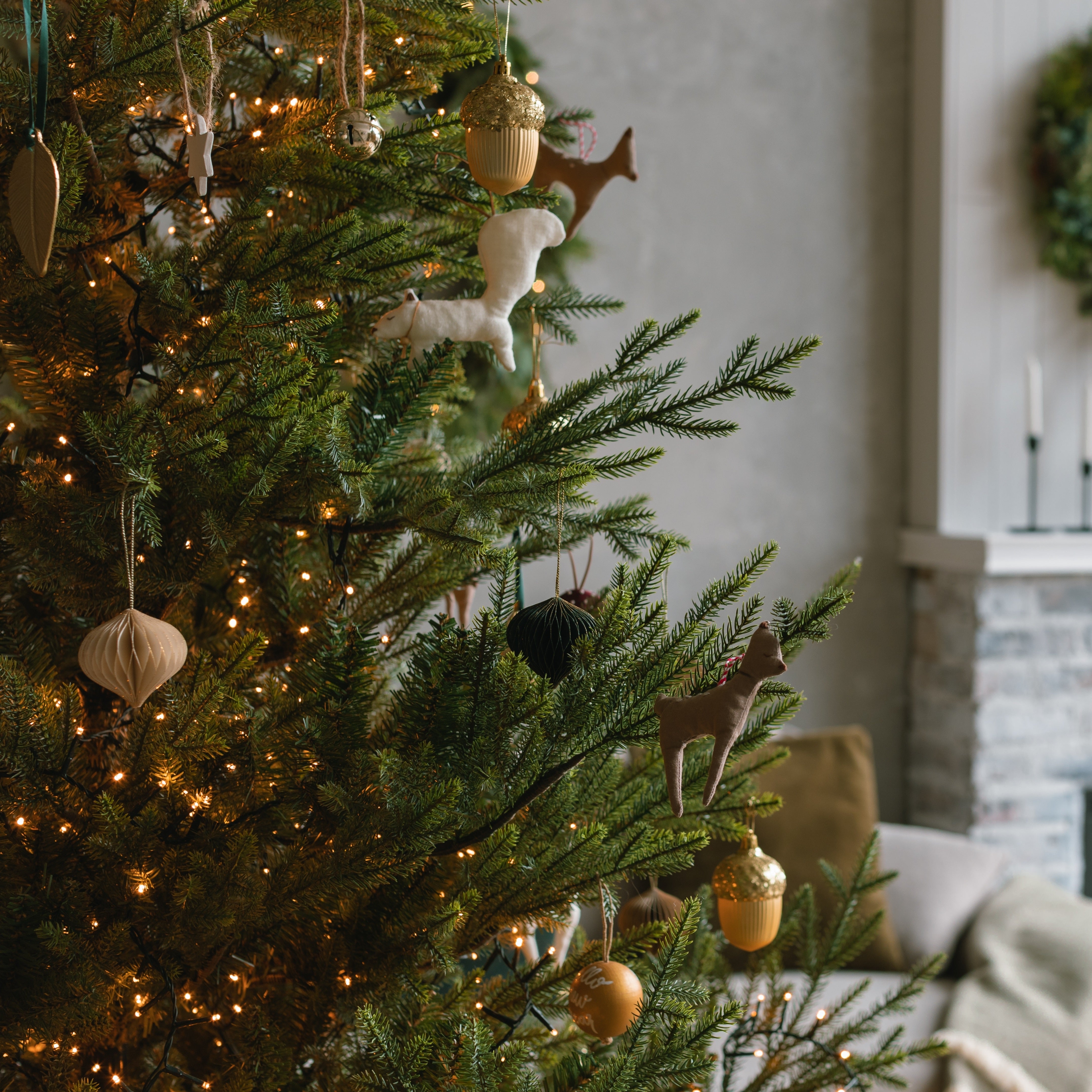 Decorating Your Christmas Tree NOMA Christmas