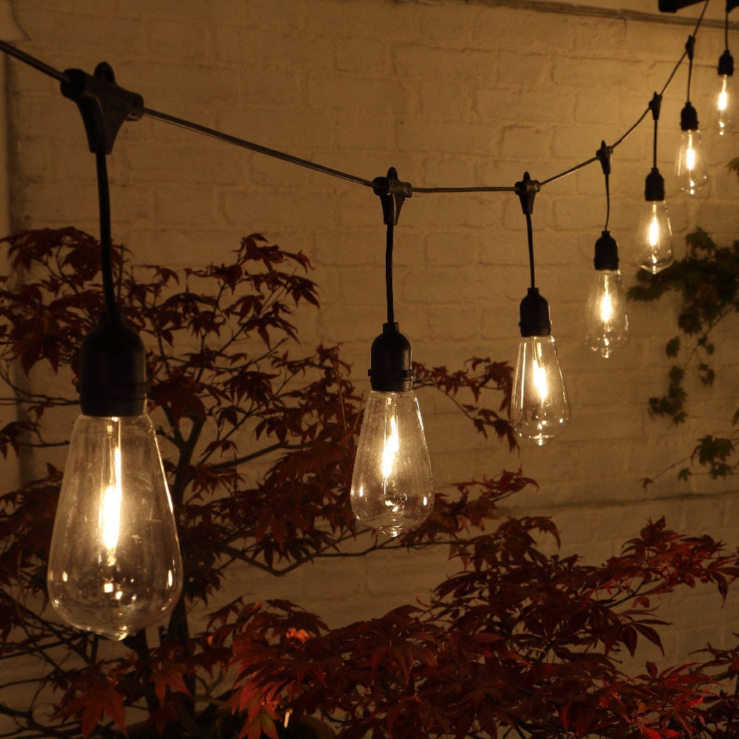 Festoon Lights - NOMA